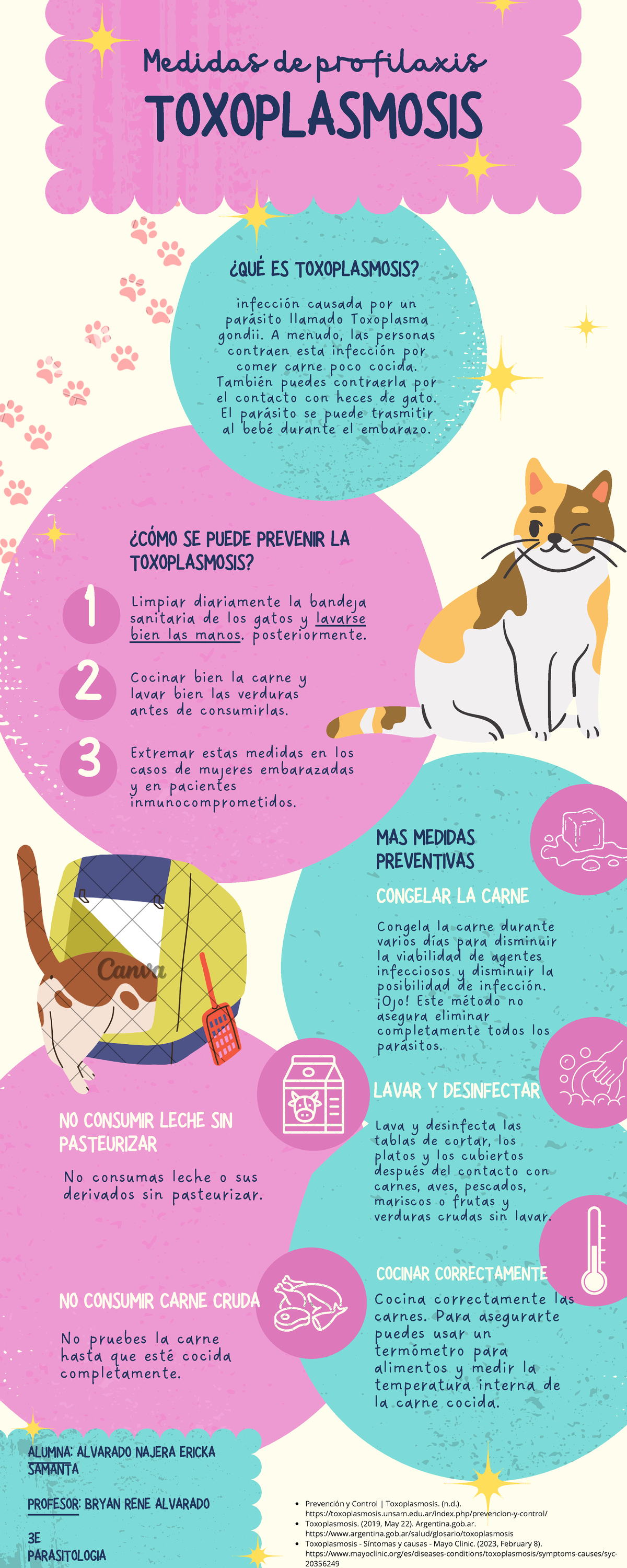 Infografía Toxoplasmosis - TOXOPLASMOSIS Medidas de profilaxis Congela la carne durante varios ...