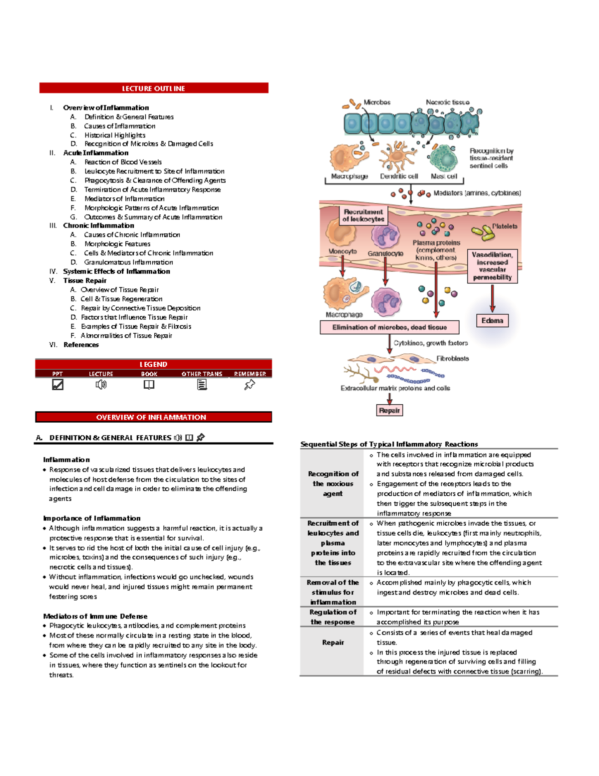 Inflammation mechanism - + LECTURE OUTLINE I. Overview of Inflammation ...