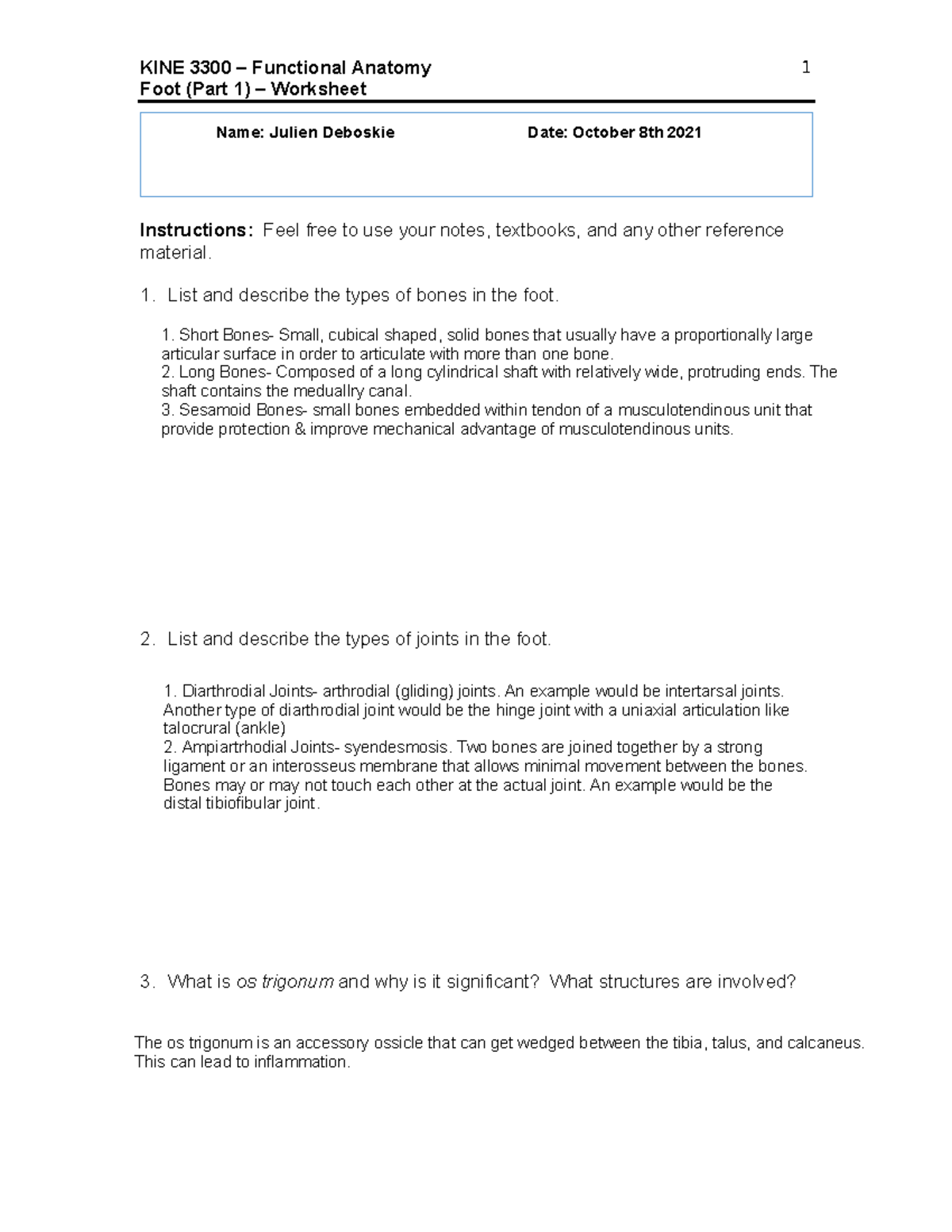 Worksheet - Foot - Part 1 - Foot (Part 1) – Worksheet Instructions ...