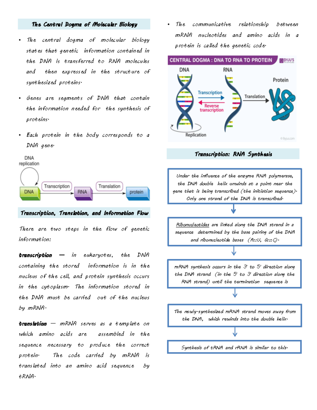 Nucleic ACID PART 2week 8 - The Central Dogma of Molecular Biology The ...