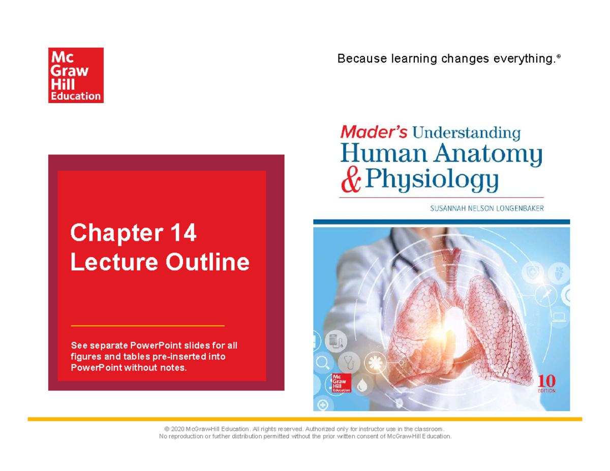 Respiratory system - Misencik, Debora - Because learning cOanges ...