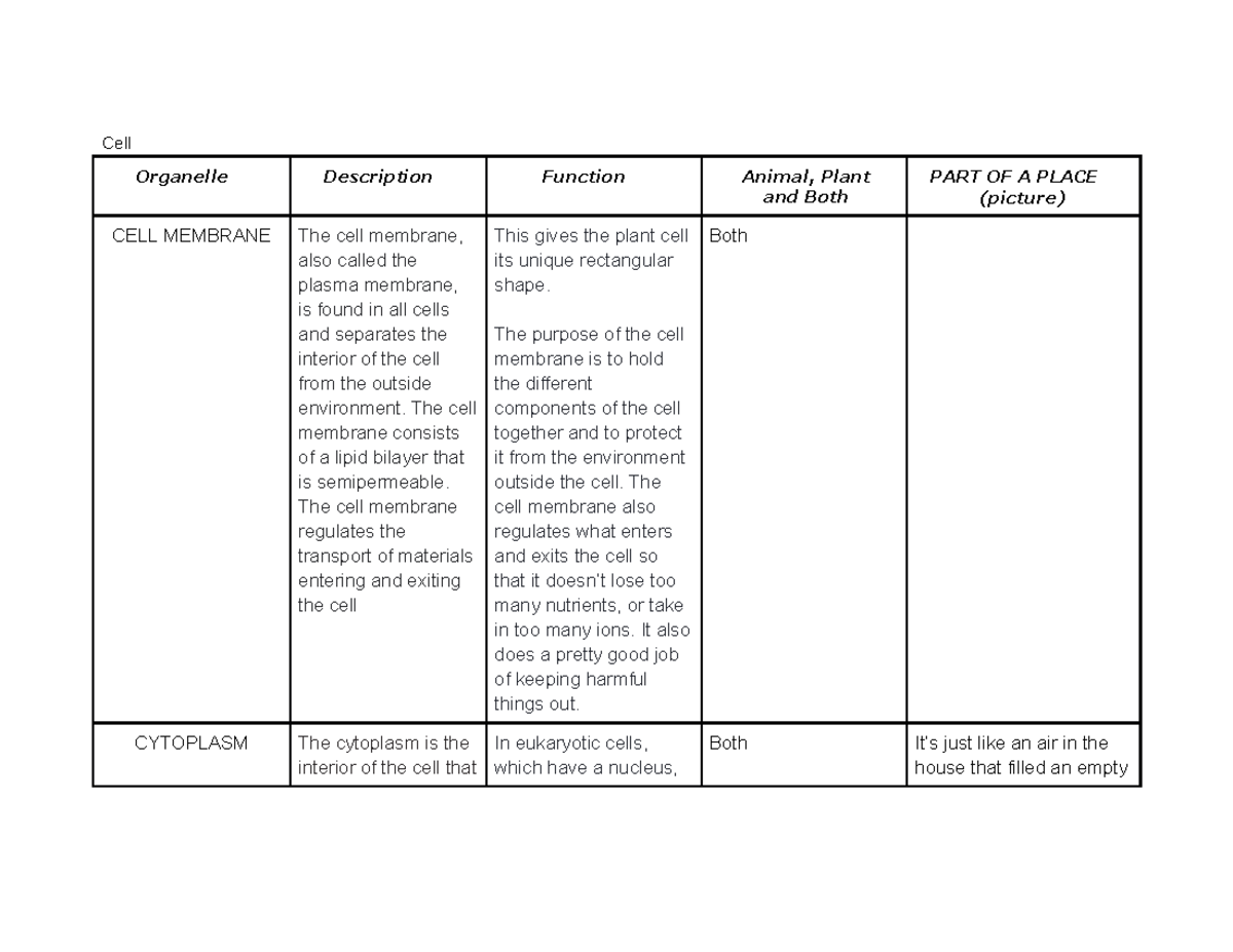Table of Cell Organelles - Cell Organelle Description Function Animal ...