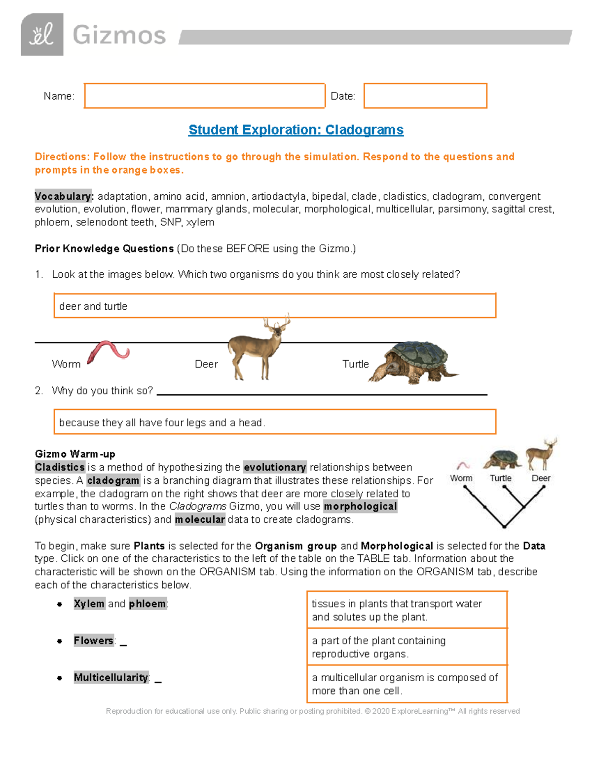 Copy of Keira Dunn - 8. Cladograms - Name: Date: Student Exploration ...
