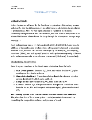 Chapter 20 Lymphatic System - Chapter 20 The Lymphatic System and Immunity Chapter Outline ...
