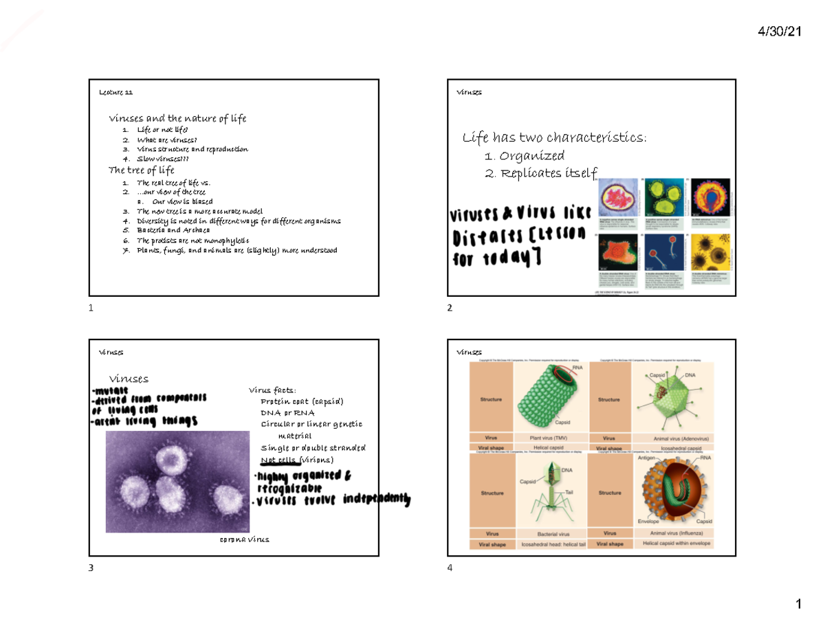 Lecture 11POST - Lecture 11 Viruses and the nature of life Life or not ...