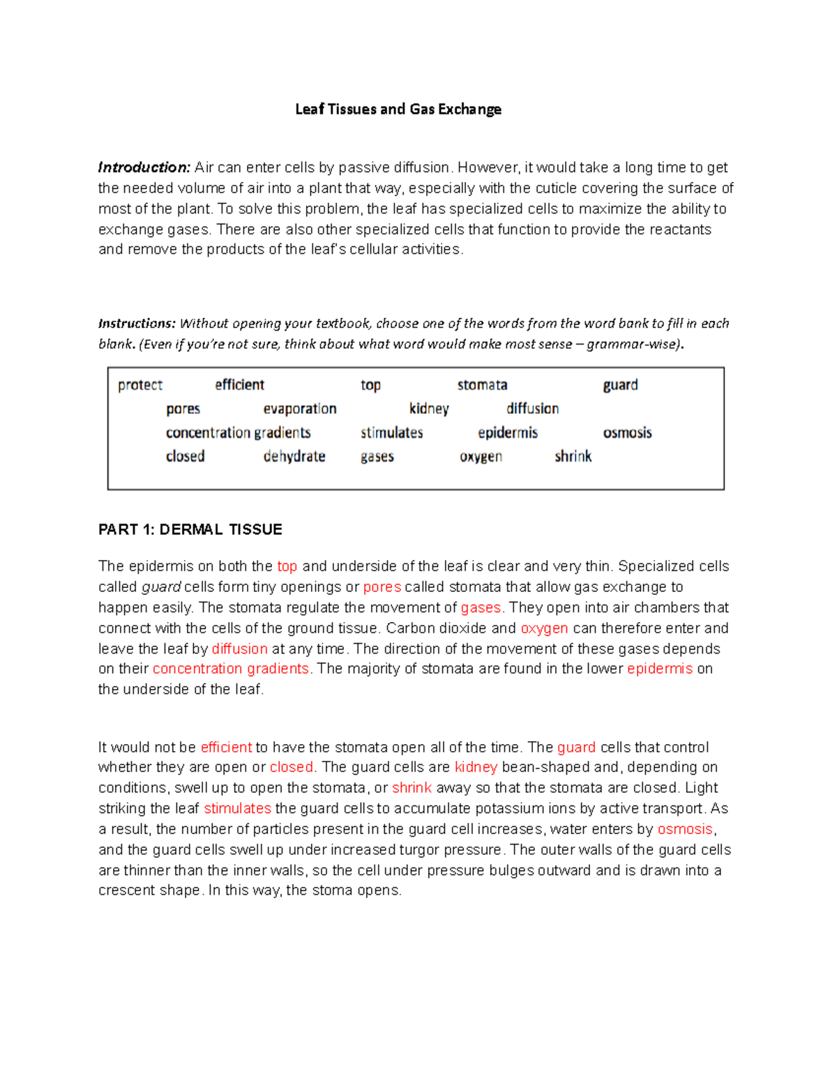 Stomates and Lenticels - Leaf Tissues and Gas Exchange Introduction ...