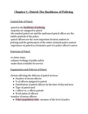 Chapter 13 Police Corruption - Chapter 13: Police Corruption Definition ...