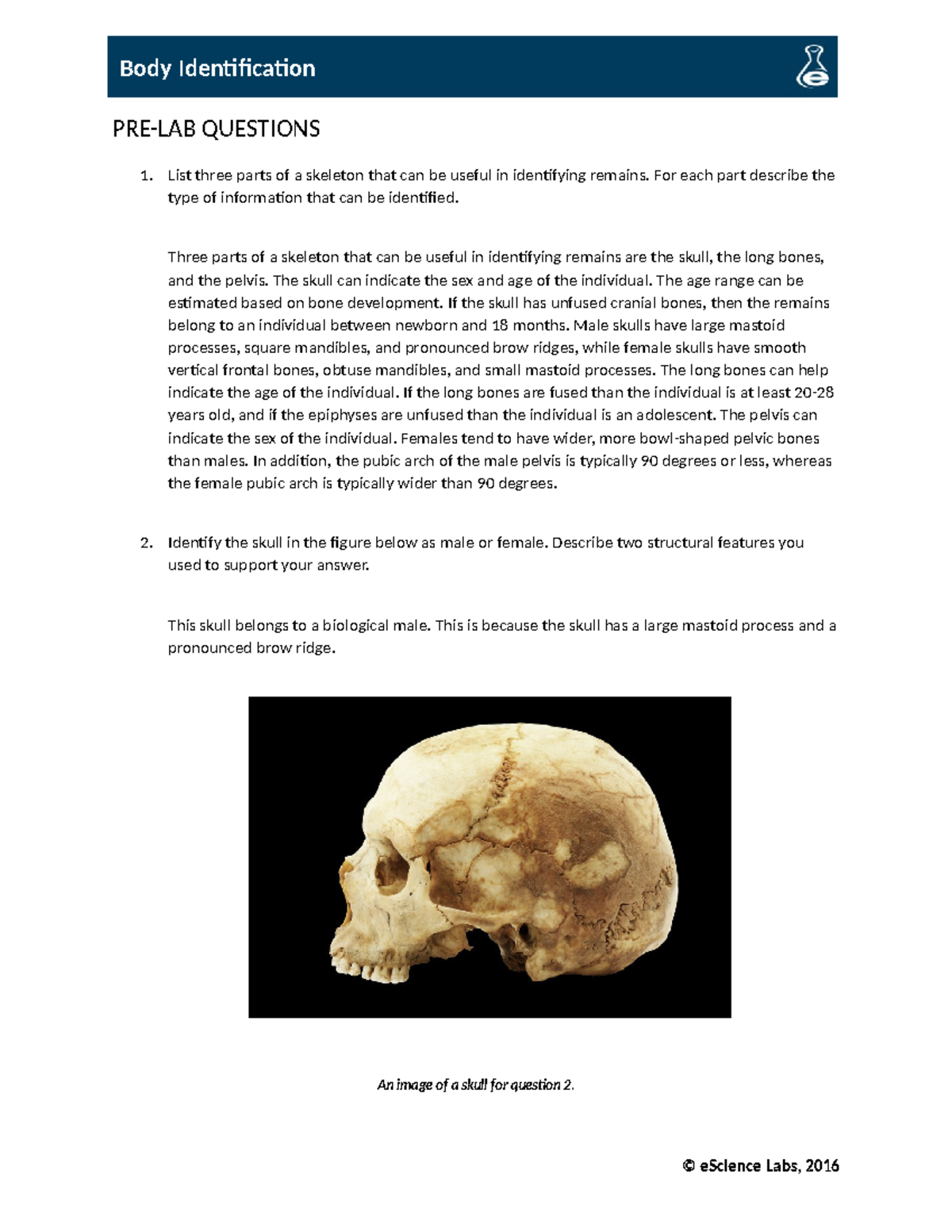 Body ID Lab - eScience body ID lab questions. - PRE-LAB QUESTIONS 1. List three parts of a ...