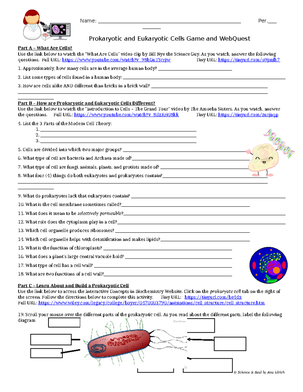 Copy of Prokaryote and Eukaryote Cells Web Quest Student Handout R1018 ...
