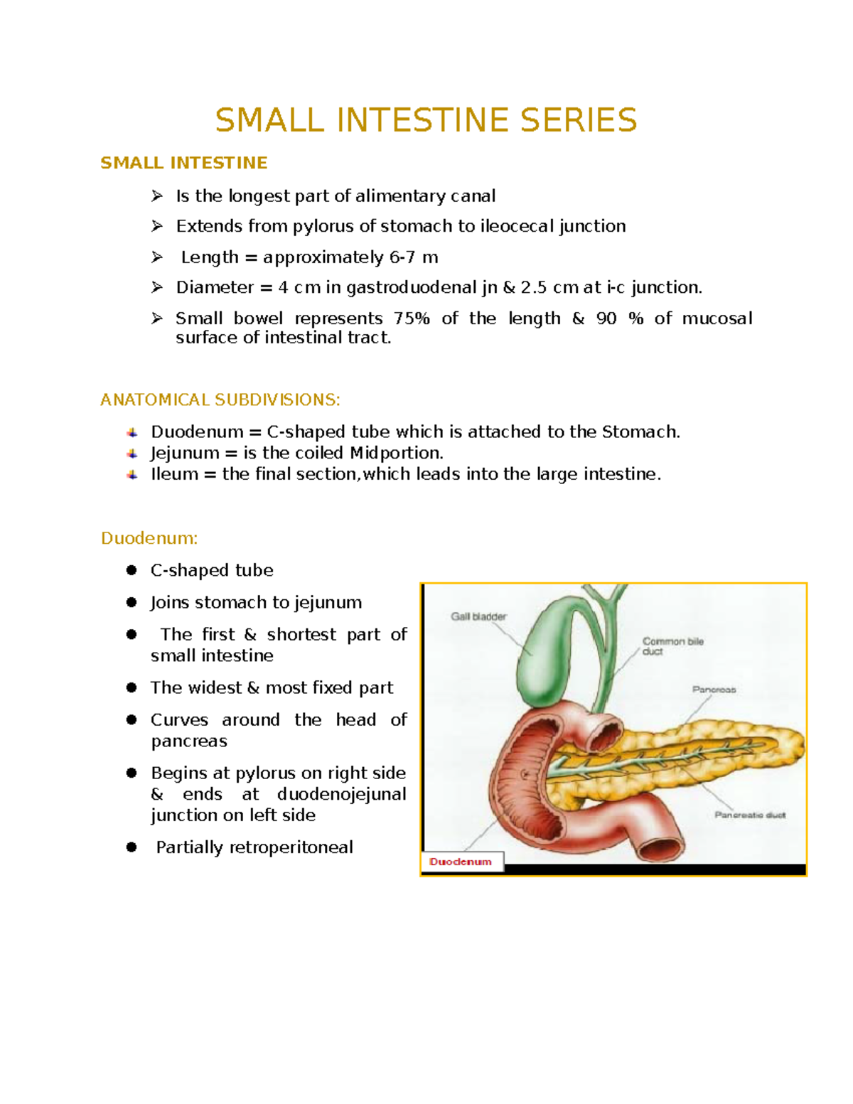 Small Intestine Series ok - SMALL INTESTINE SERIES SMALL INTESTINE Is ...