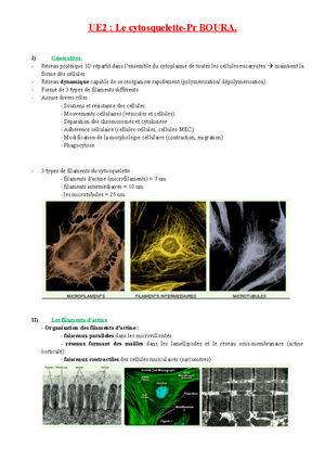 [Solved] les connexines dans les membranes sassocient quelles dautres ...