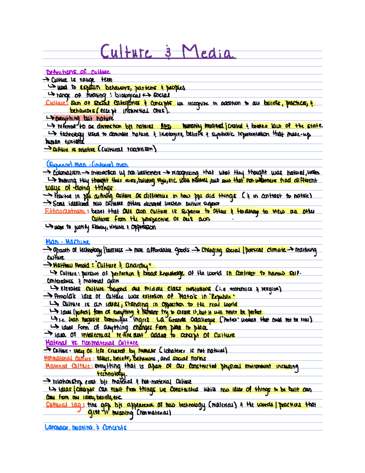 Chapter 3 - Online sociology taught by Kara F - Culture Media ...