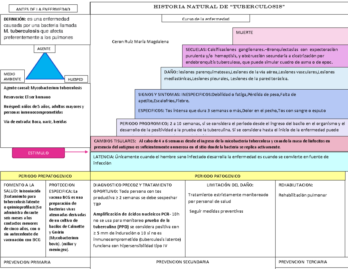 Historia natural tuberculosis - Curso de la enfermedad PERIODO ...