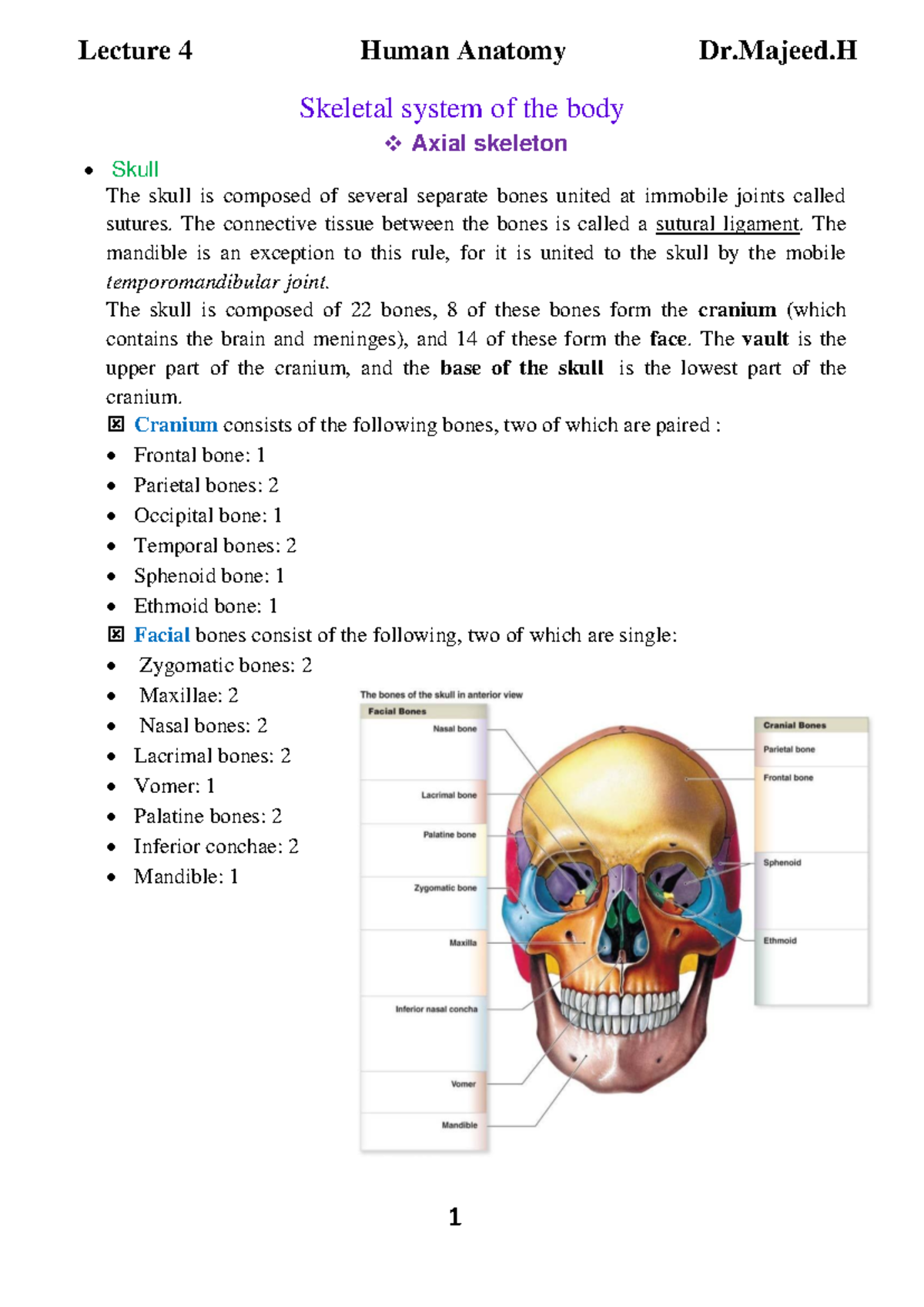 Lecture 4 Human Anatomy - Lecture 4 Human Anatomy Dr.Majeed Skeletal system of the body Axial ...