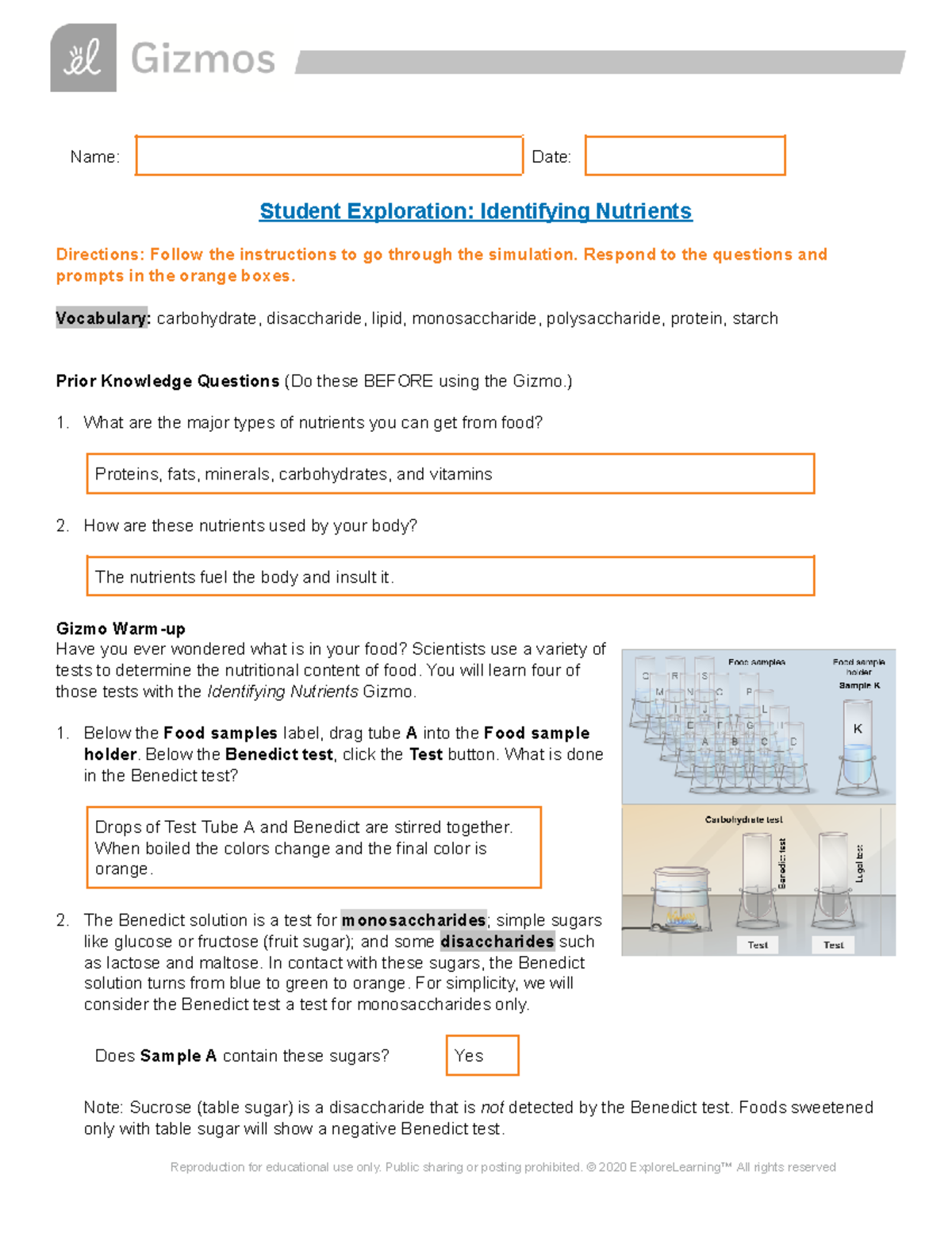 Identifying Nutrients SE - Name: Date: Student Exploration: Identifying ...