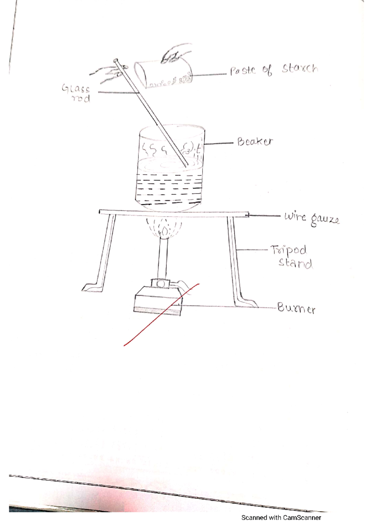 XII- Practicals - Chemistry class 12 - Studocu