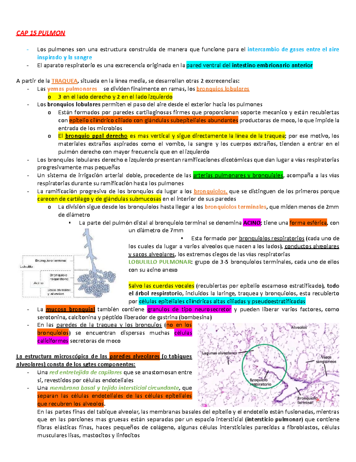 Apuntes patologías del pulmon- Libro de Robbins - CAP 15 PULMON - Los ...