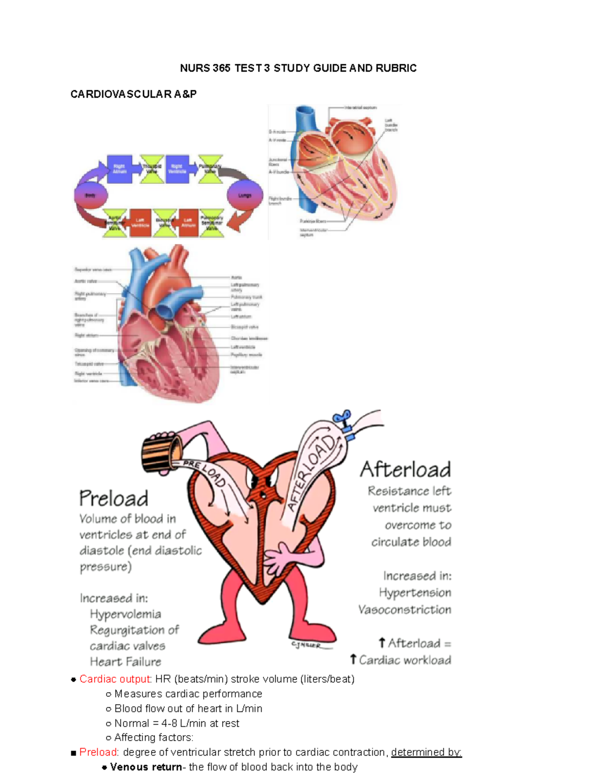 Pharm exam 3 study guide - NURS 365 TEST 3 STUDY GUIDE AND RUBRIC ...