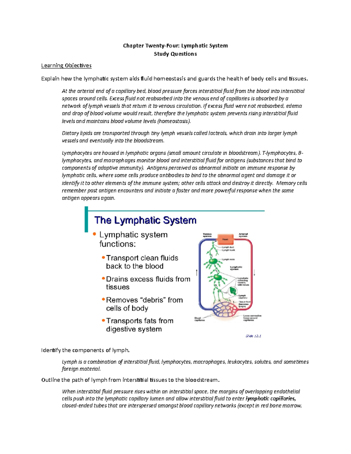 Chapter Twenty-Four Notes - Lymphatic System - Chapter Twenty-Four ...