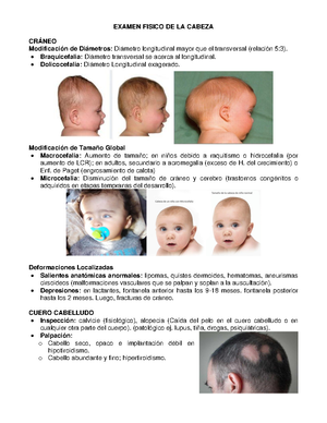 Examen físico de cabeza y cuello - Examen físico de cabeza y cuello Para la exploración clínica ...