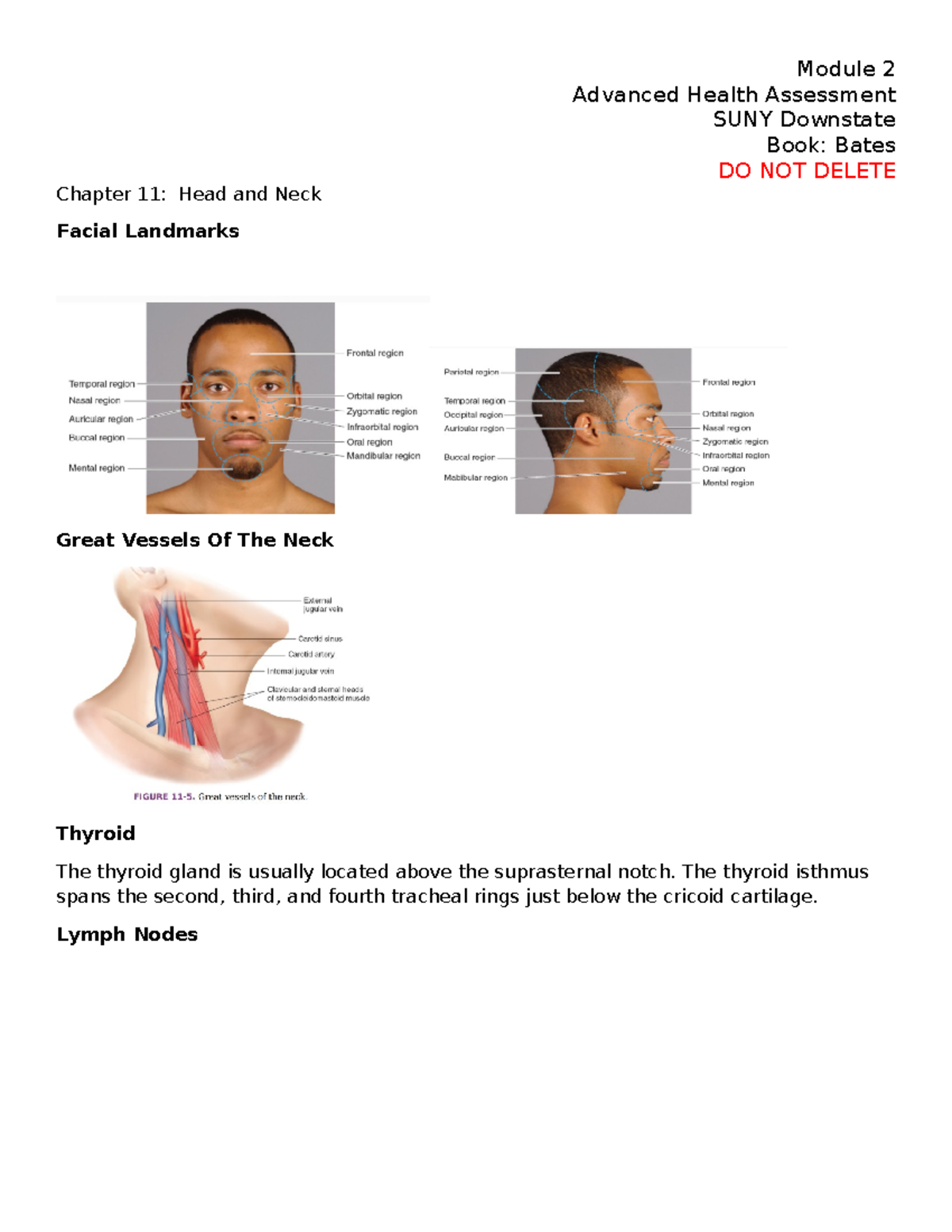 Chapter 11 Head and Neck - Module 2 Advanced Health Assessment SUNY ...