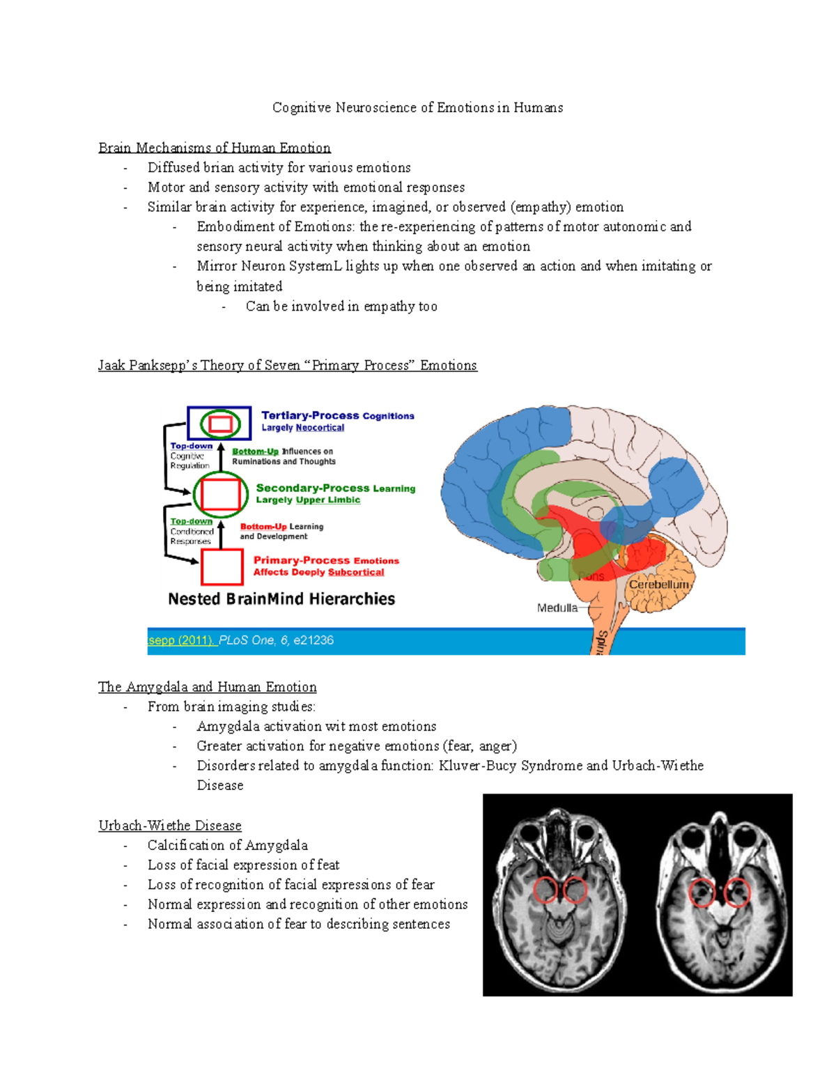 17.5 Notes - Cognitive Neuroscience of Emotions in Humans Brain ...