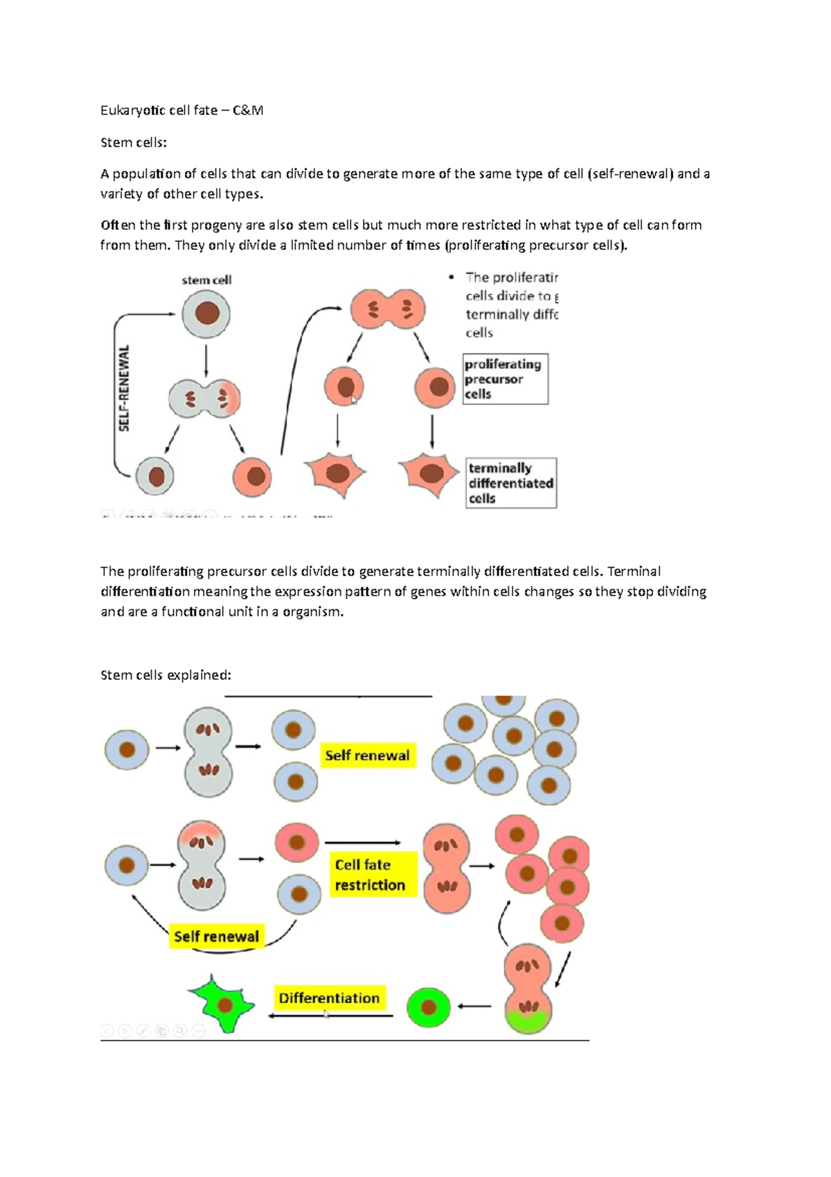 Eukaryotic cell fate - Lecture notes 9 - Eukaryotic cell fate – C&M ...