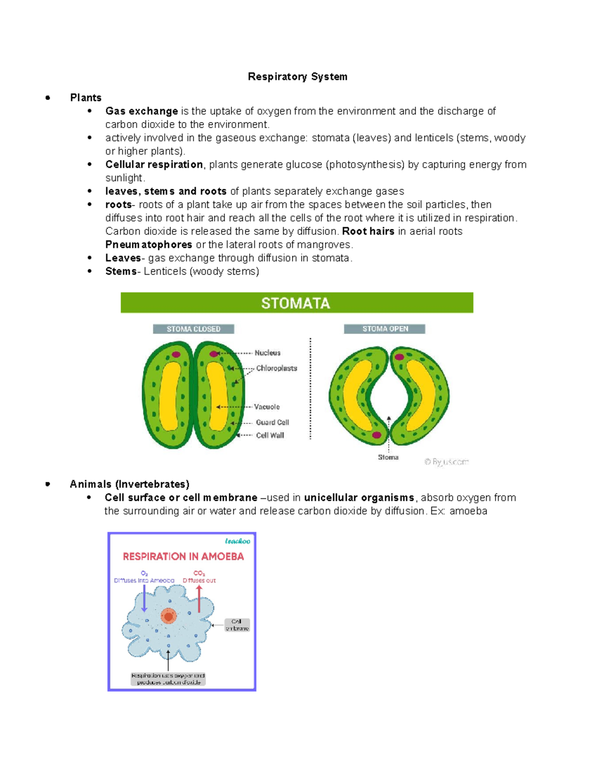 Respiratory System - notes - Respiratory System Plants Gas exchange is ...