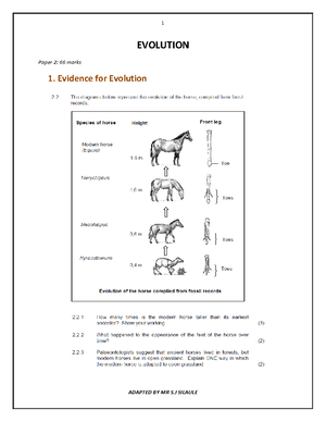 Human Responding TO Environment Activities Solutions - RESPONDING TO ...