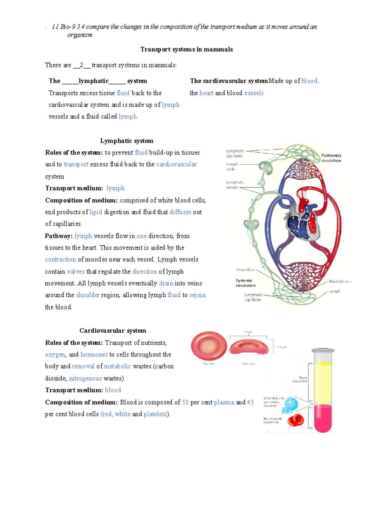12. Transport systems in mammals - organism Transport systems in ...