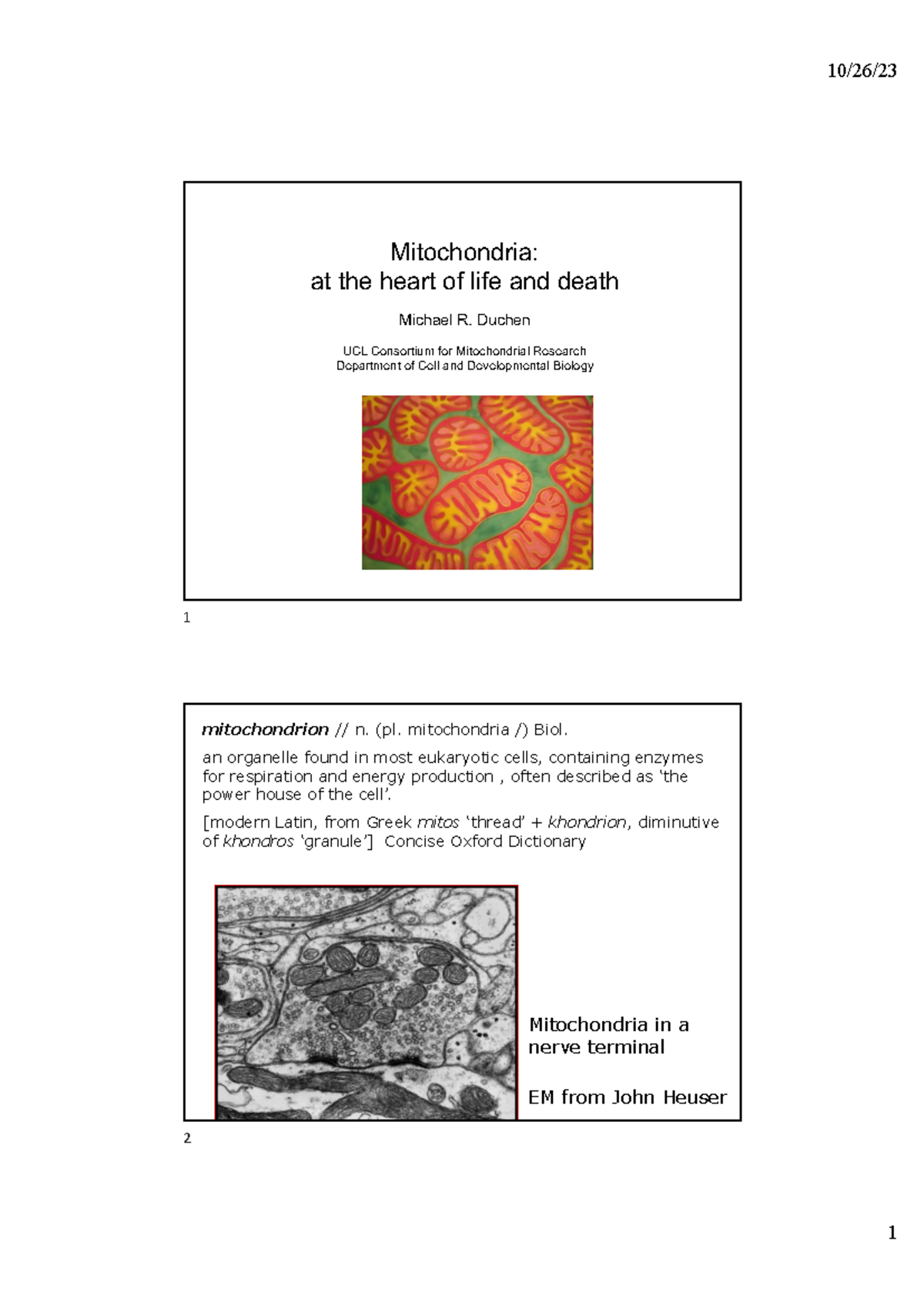 CELL0009 1+2 2023 final - Mitochondria: at the heart of life and death ...