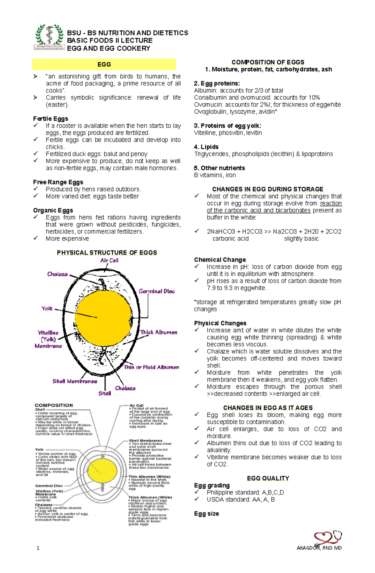 1 Egg and Egg Cookery - BSU - BS NUTRITION AND DIETETICS BASIC FOODS II ...