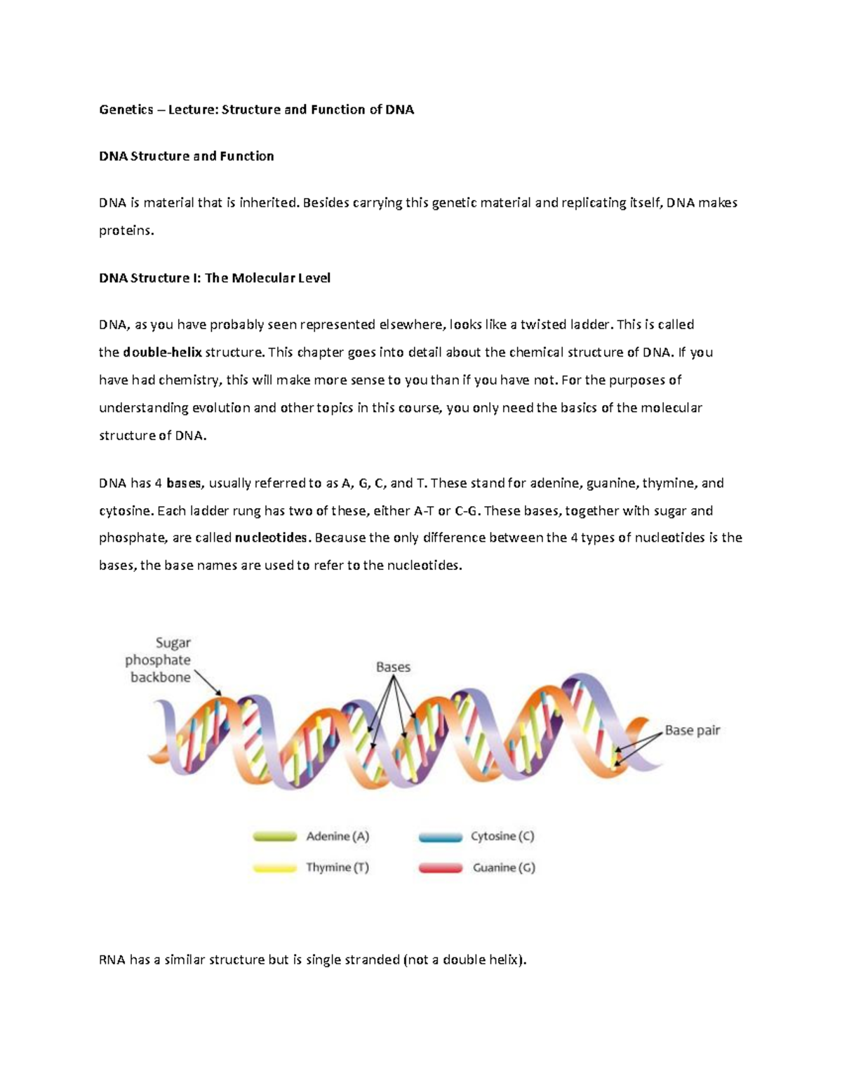 Biological Anthropology - Structure and Function of DNA - Genetics ...
