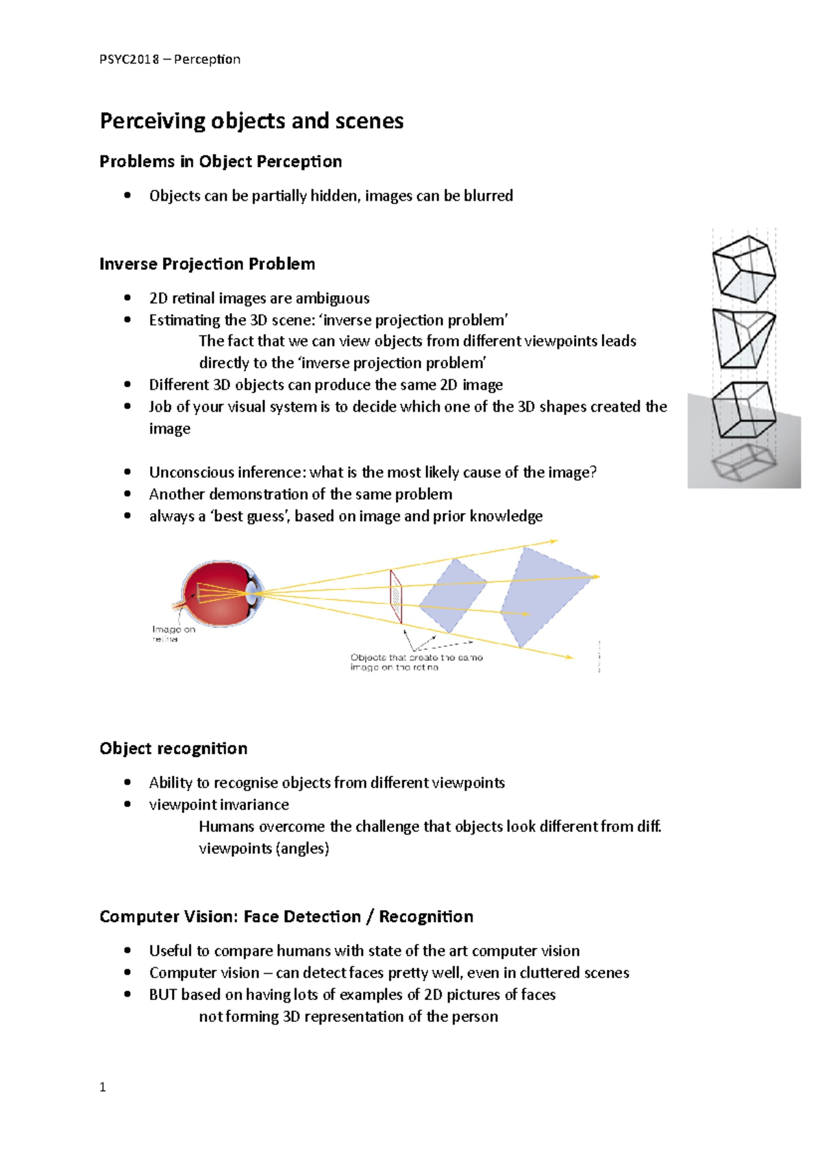 Perceiving objects and scenes - week 5 - Perceiving objects and scenes ...