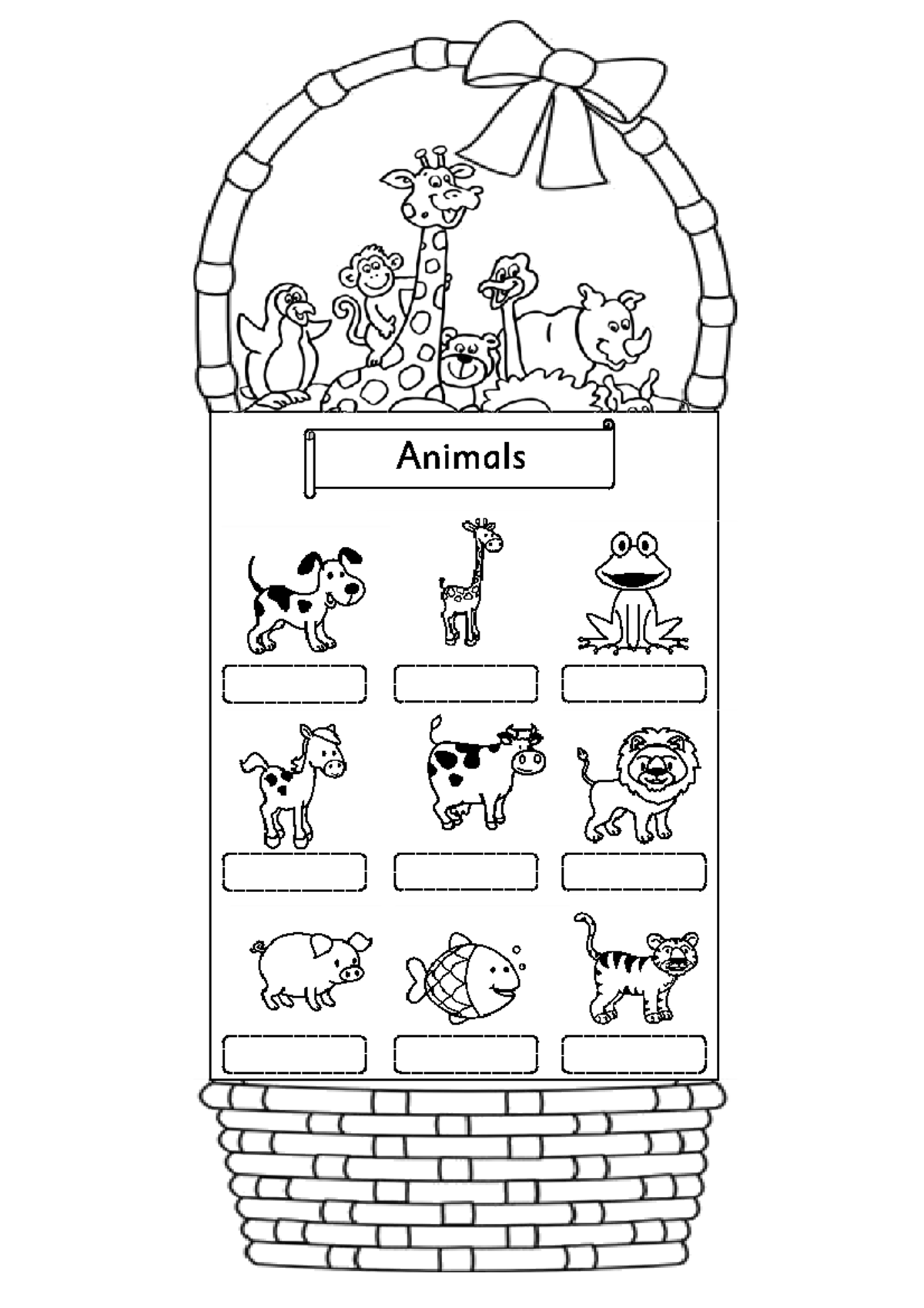 Animals 3 - Useful information - English language - Studocu