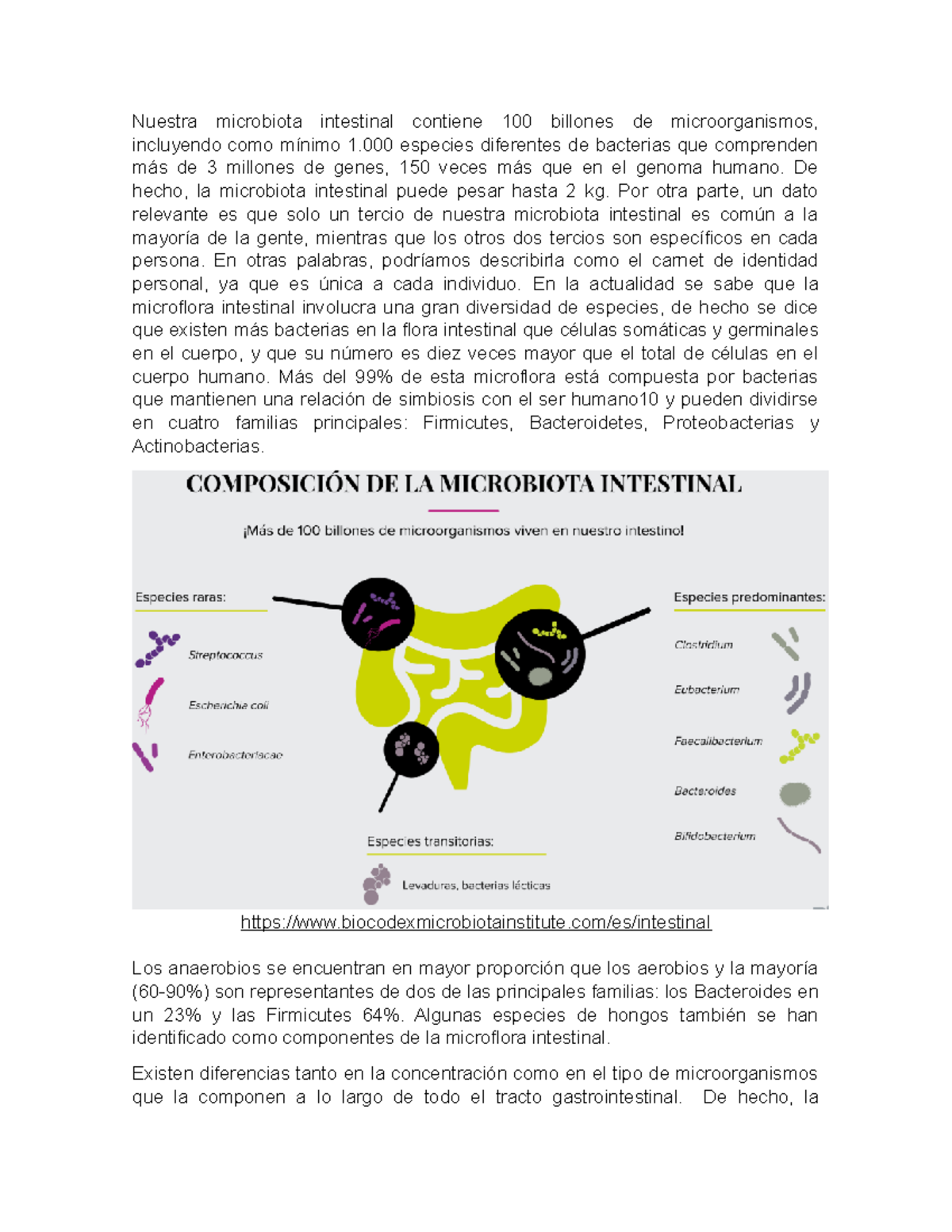 Microbiota Gastrointestinal - Nuestra microbiota intestinal contiene ...