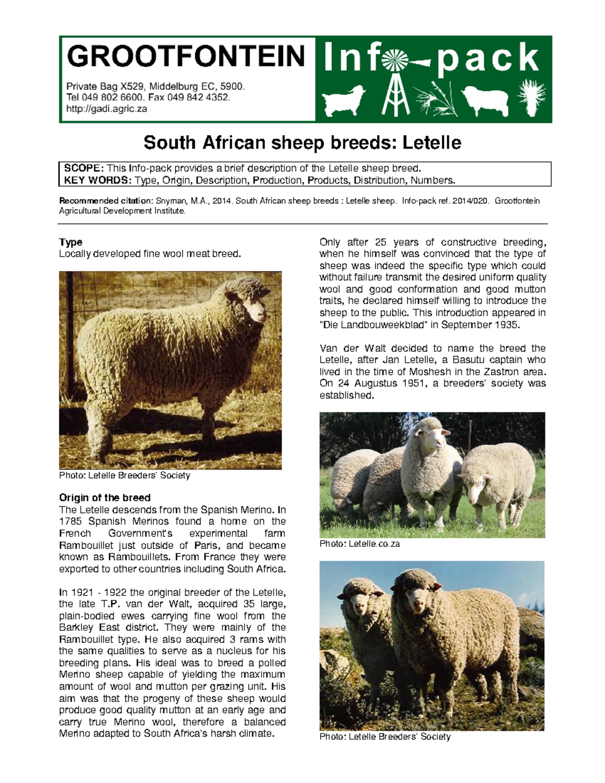 2014 020 South African Sheep breeds - Letelle - Copy - South African ...