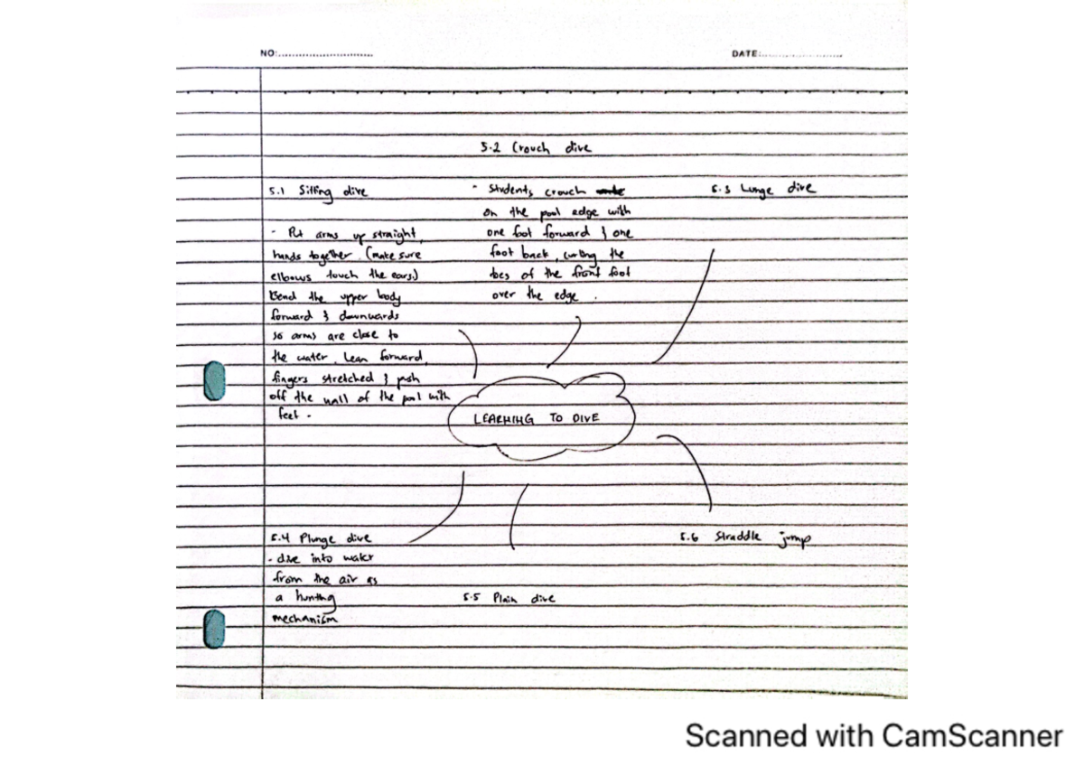 Cam Scanner 04-30-2024 15 - NO: DATE: 5 Crouch dive 5 Sitting dive ...