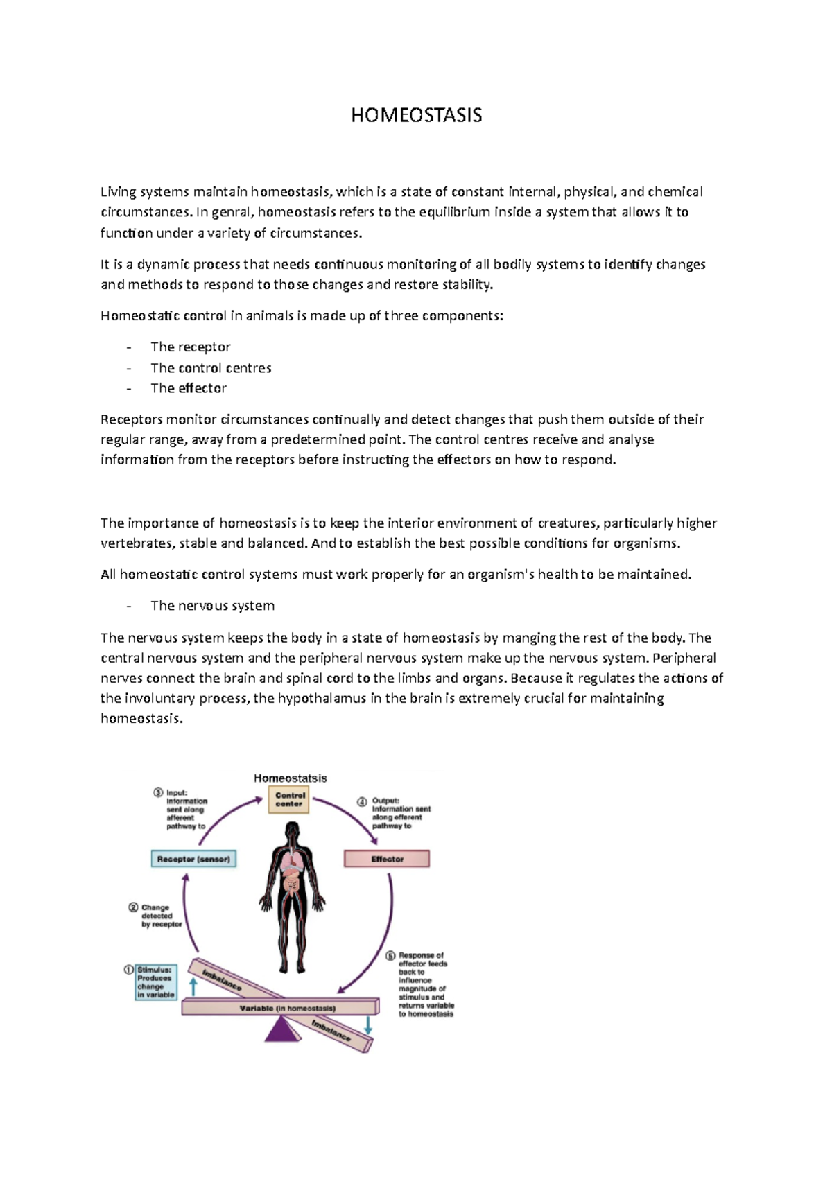 P2- Homeostatic - biomed course work - HOMEOSTASIS Living systems ...