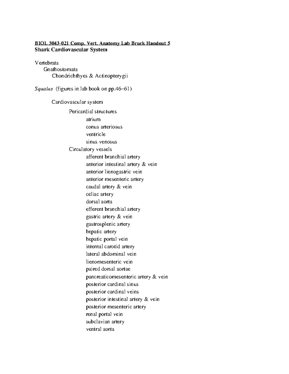 Comp Vert Handout 5 Shark internals 2 - BIOL 3043-021 Comp. Vert ...