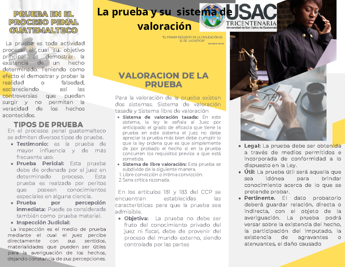 Valoracion de la Prueba - La prueba es toda actividad procesal el cual ...