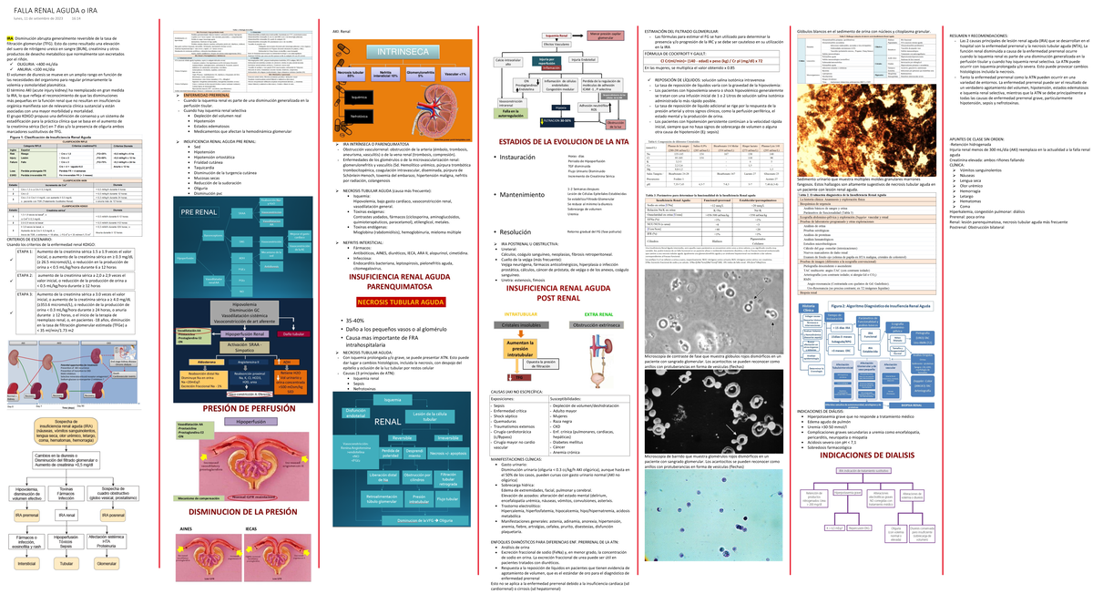 Falla Renal Aguda o IRA - Resúmenes de clase - IRA: Disminución abrupta ...