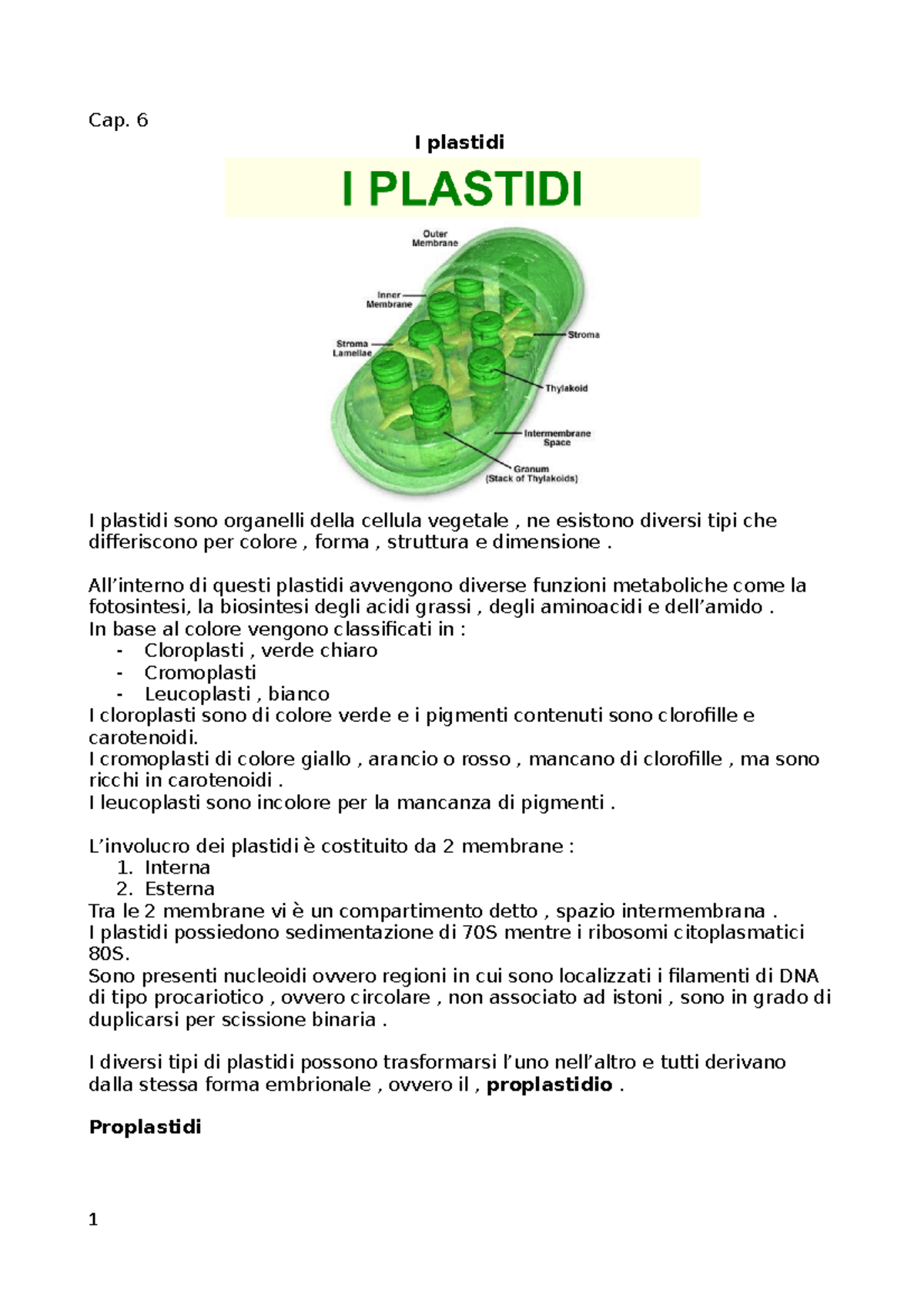Cap.6 botanica copia - ciao - Cap. 6 I plastidi I plastidi sono ...