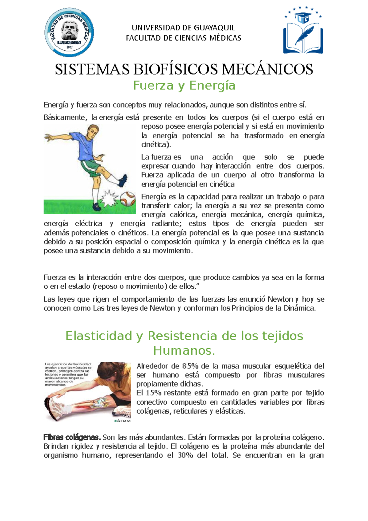 SISTEMAS BIOFÍSICOS MECÁNICOS Fuerza y Energía - UNIVERSIDAD DE ...