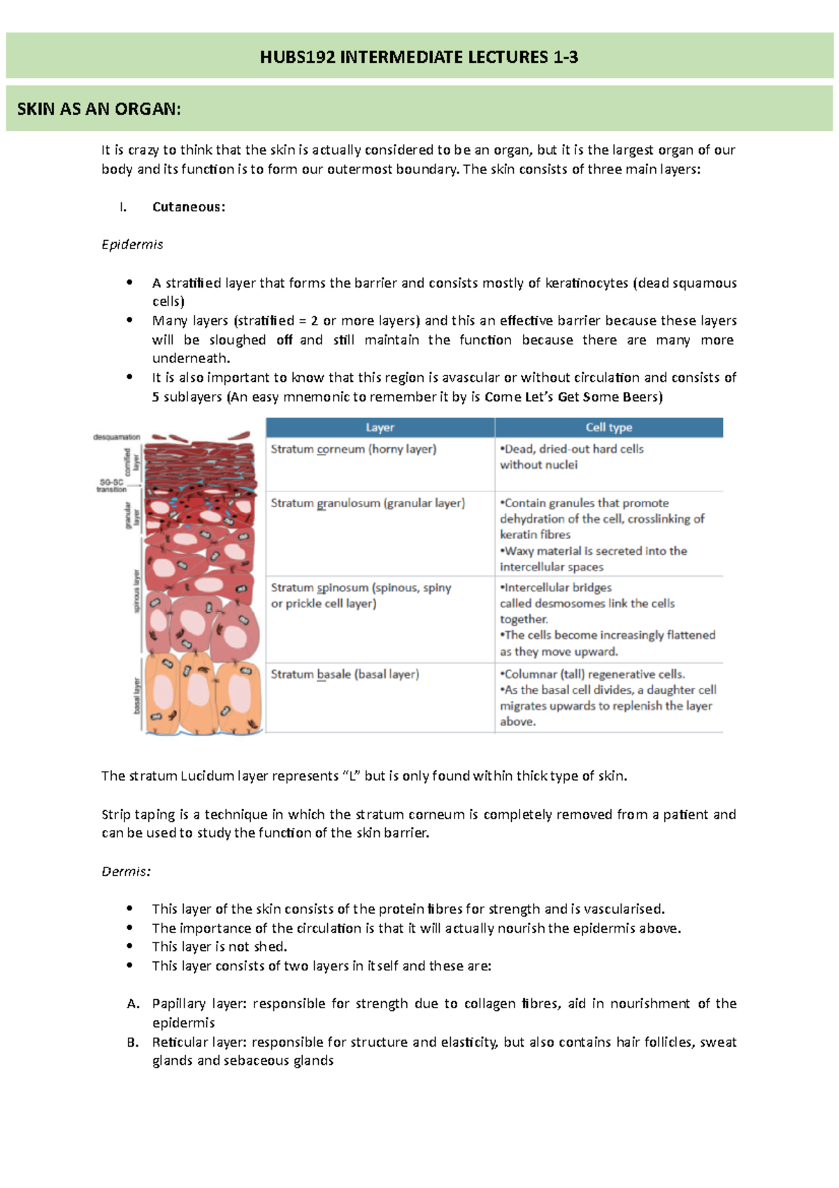 Intermediate Lect 1-3 R - HUBS192 INTERMEDIATE LECTURES SKIN AS AN ...