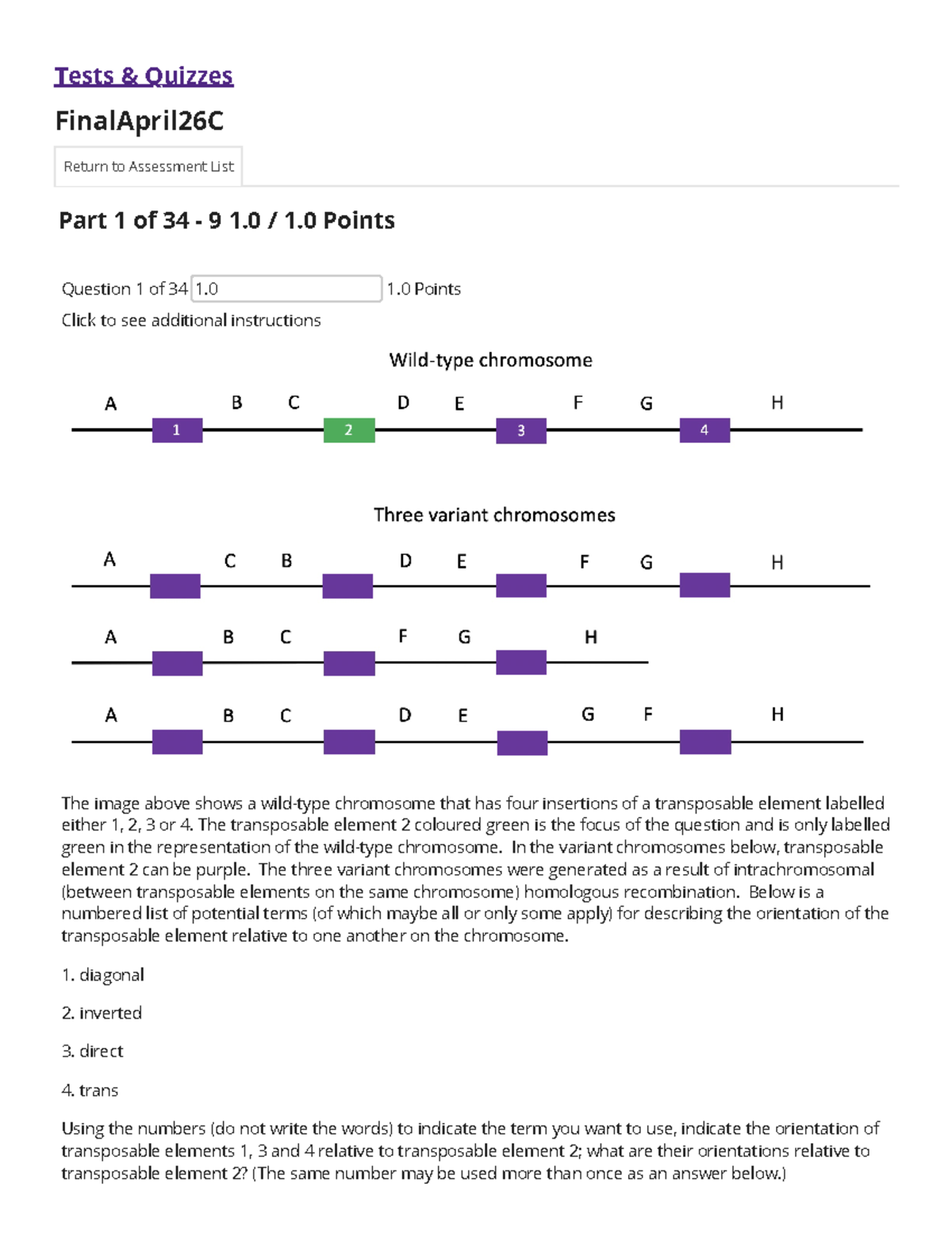 Genetics exam 2 - Tests & Quizzes FinalApril26C Return to Assessment ...