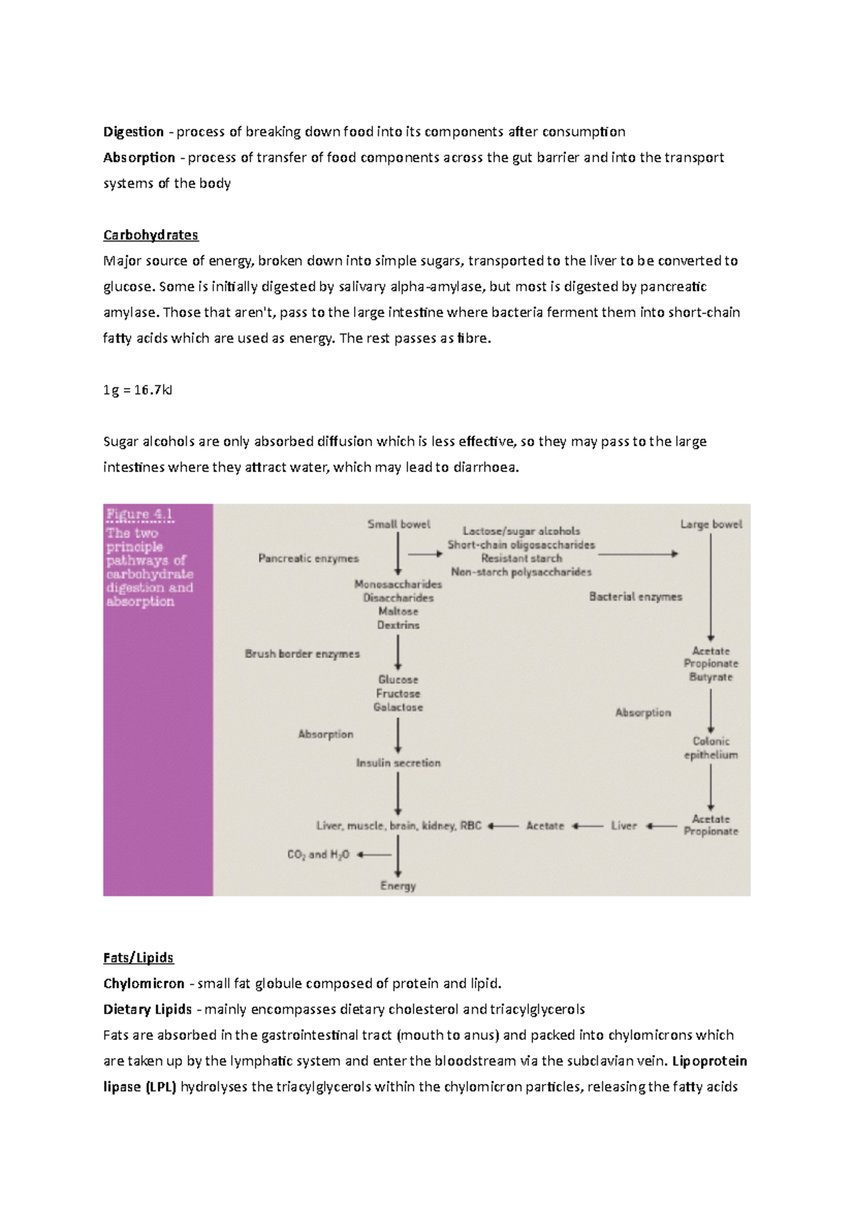 NUTR1023 Module 4 - Macronutrients - Digestion - process of breaking ...