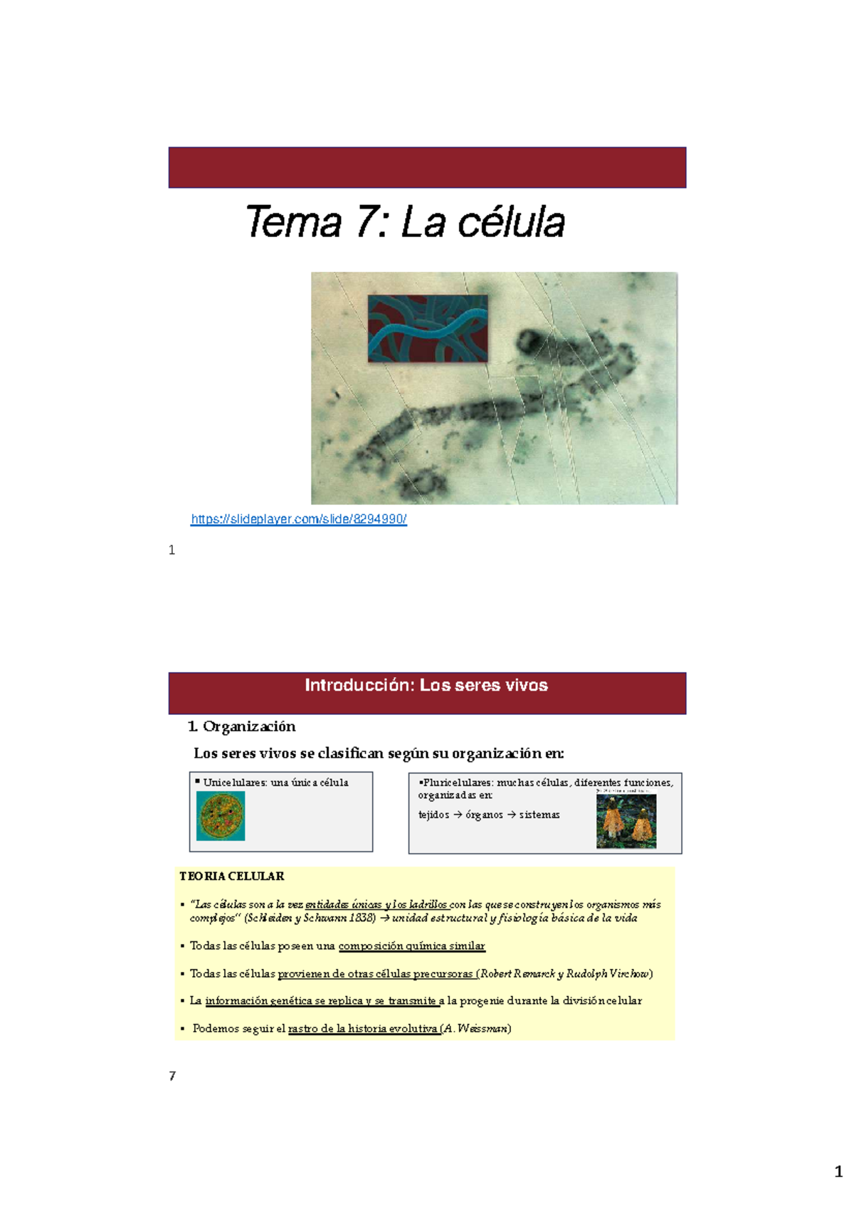 T07 celula 2024 - Apunts tema 7, la cel·lula - Tema 7: La célula slideplayer/slide/8294990 ...