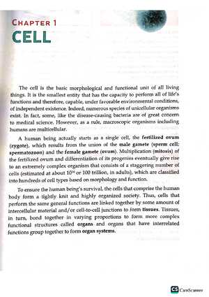 Introduction to Human Development - Nurture Developmental psychology ...