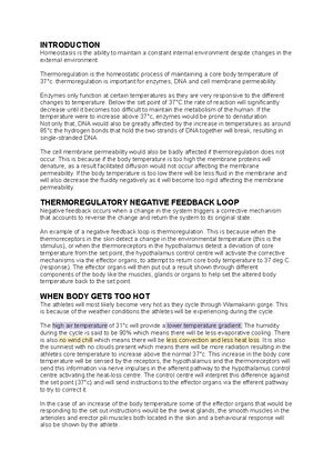 Level 3 Plants and Animal Responses Notes - Organised Notes for Biology ...